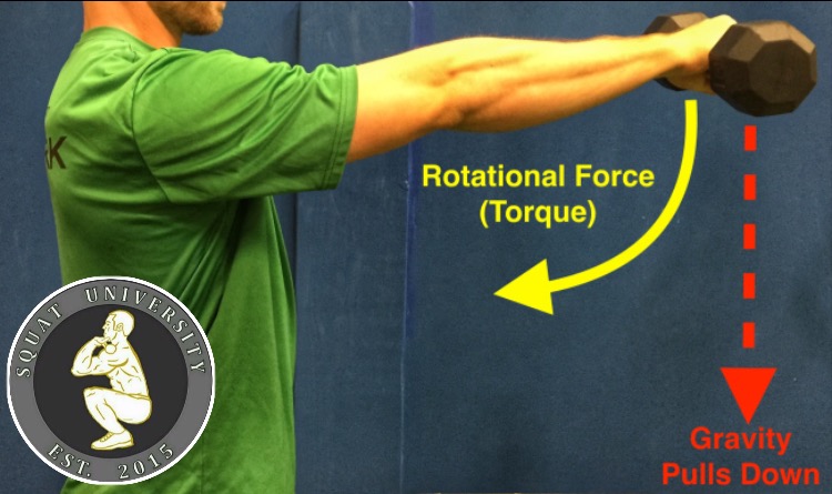Torque – Squat University