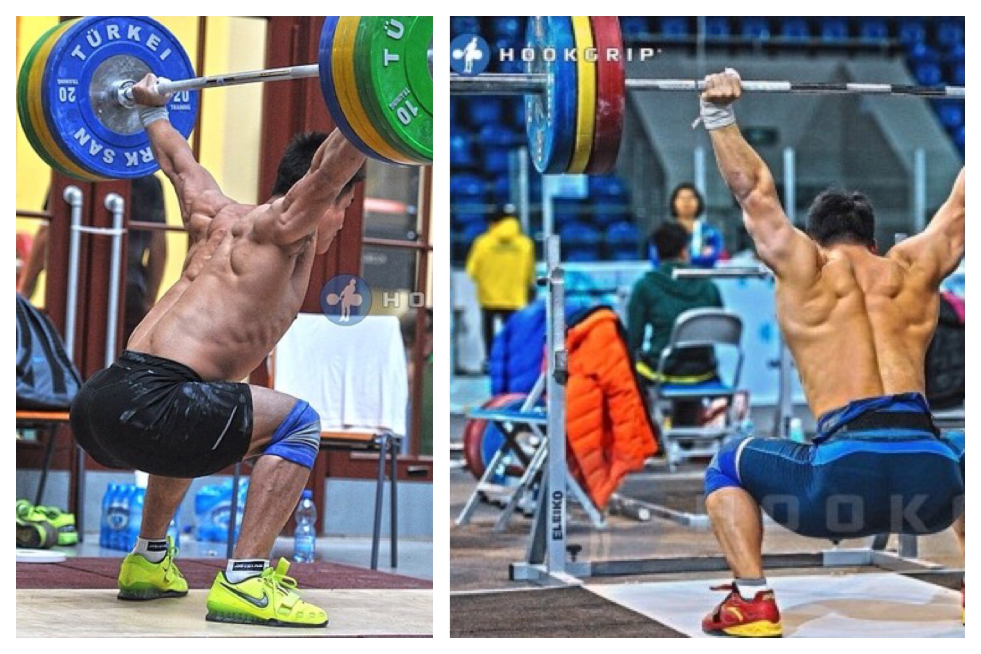 Scap Stability Cover – Squat University