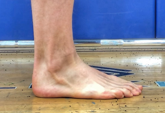 heel raise 1 – Squat University